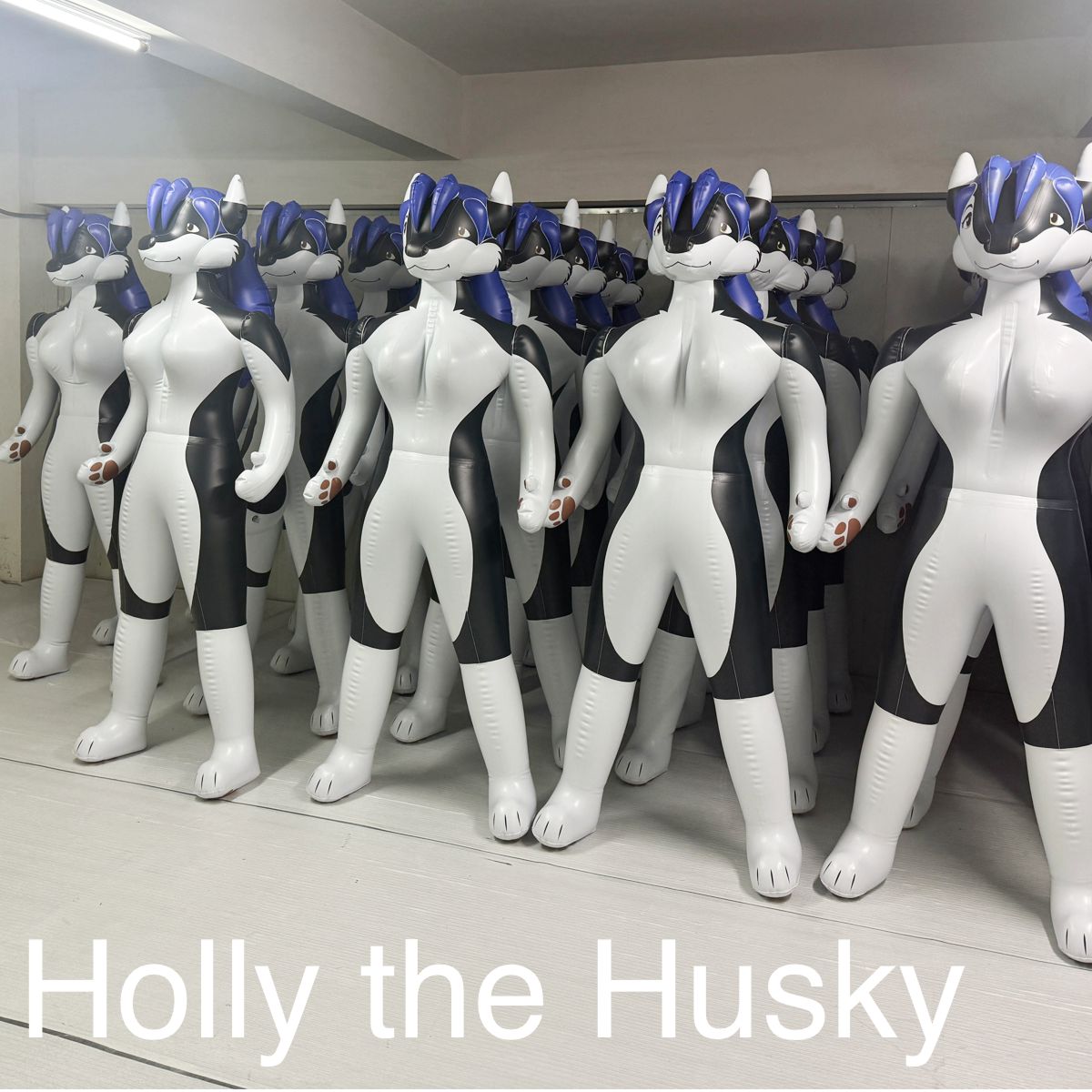 Holly the Husky – SqueakClub, powered by Jet Creations Inc.
